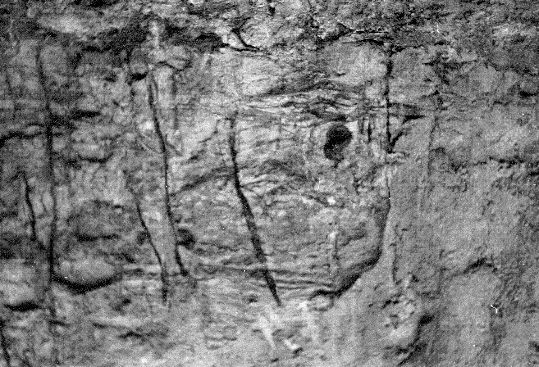 Geology – Nene Valley Mines Study Group